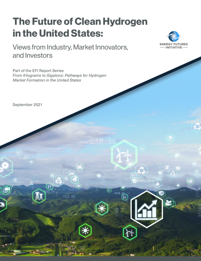 The Future of Clean Hydrogen in the United States - EFI Foundation