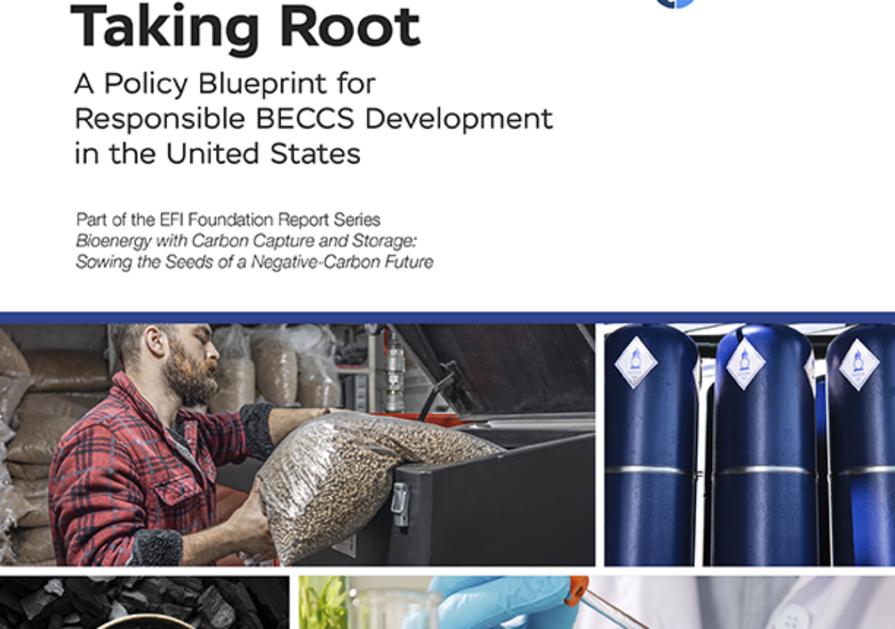 Bioenergy with Carbon Capture and Storage (BECCS) Archives - EFI Foundation